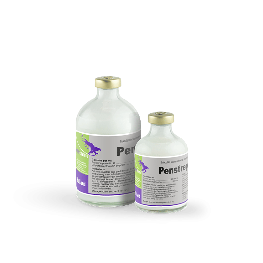 Pen Strep 400 50 ml – Suspensión Inyectable Penicilina | SAVANTO SRL